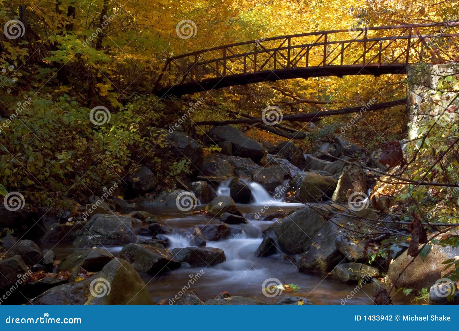 Forest Cascade stock photo. Image of falls, rocks, scenic - 1433942