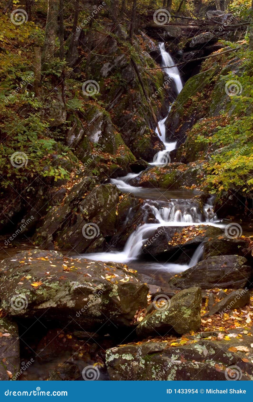 Forest Cascade stock photo. Image of wild, scenic, creek - 1433954