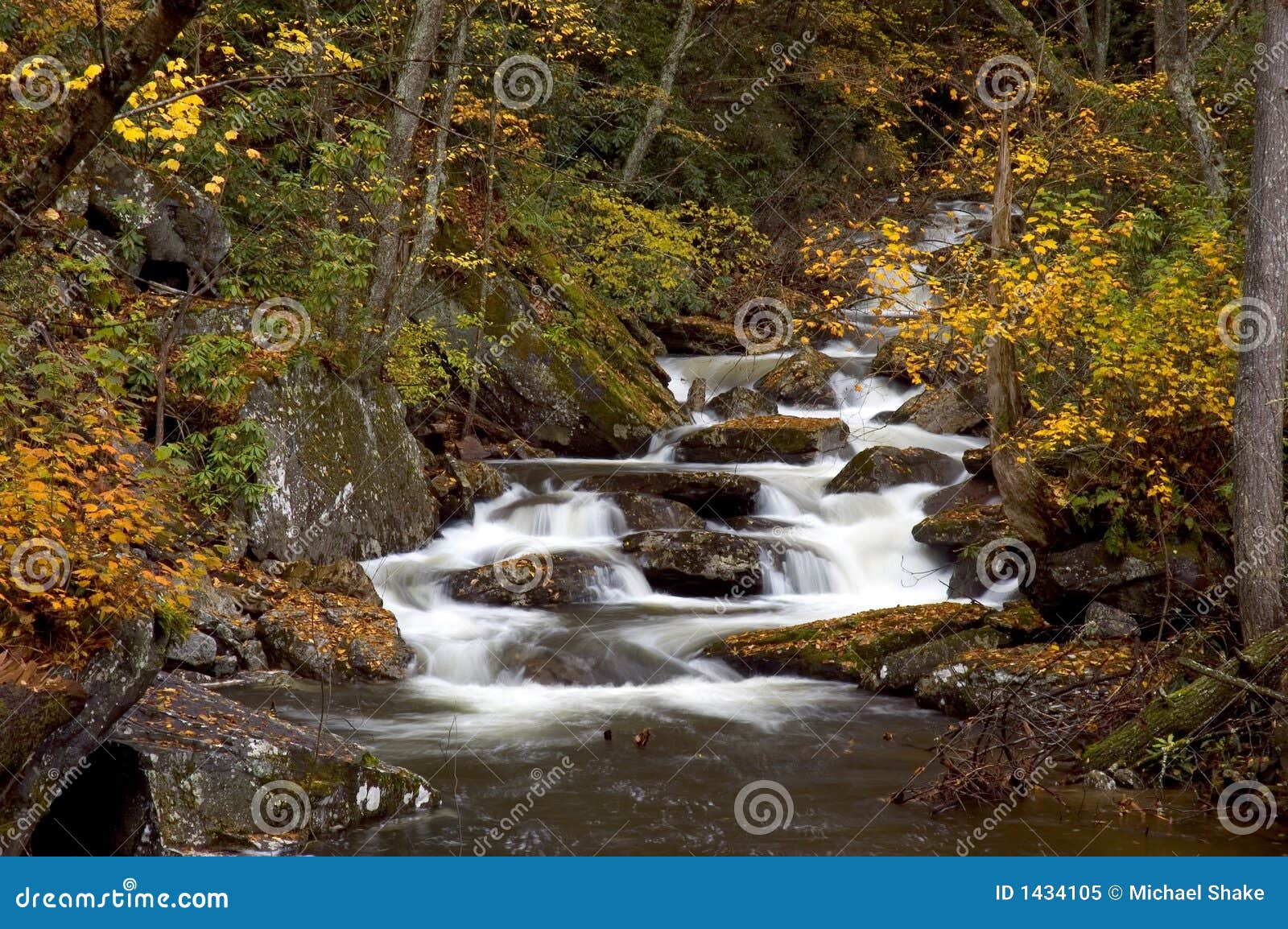 Forest Cascade stock image. Image of park, autumn, stream - 1434105