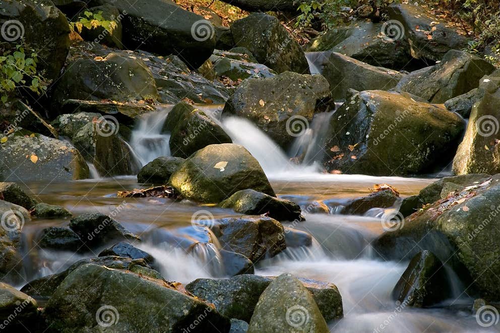Forest Cascade stock photo. Image of forest, moss, serene - 1434208