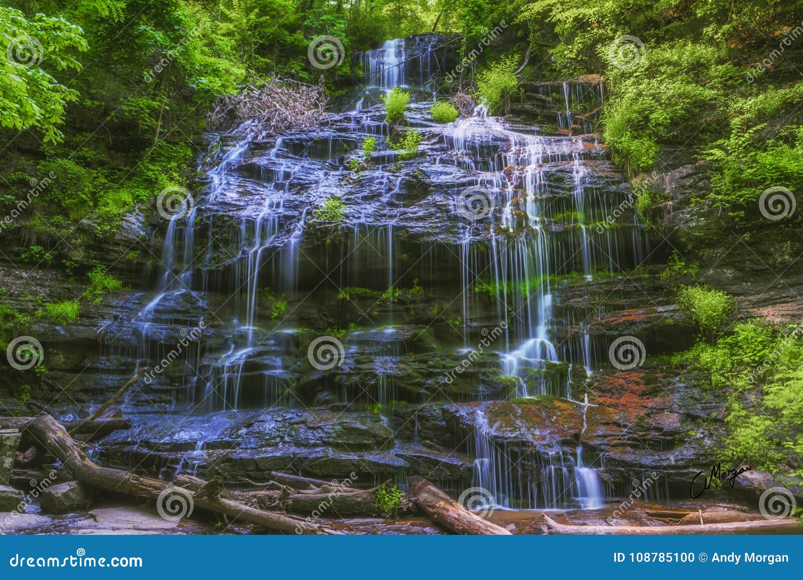 Forest Cascading Waterfalls Stock Photo - Image of water, carolina ...