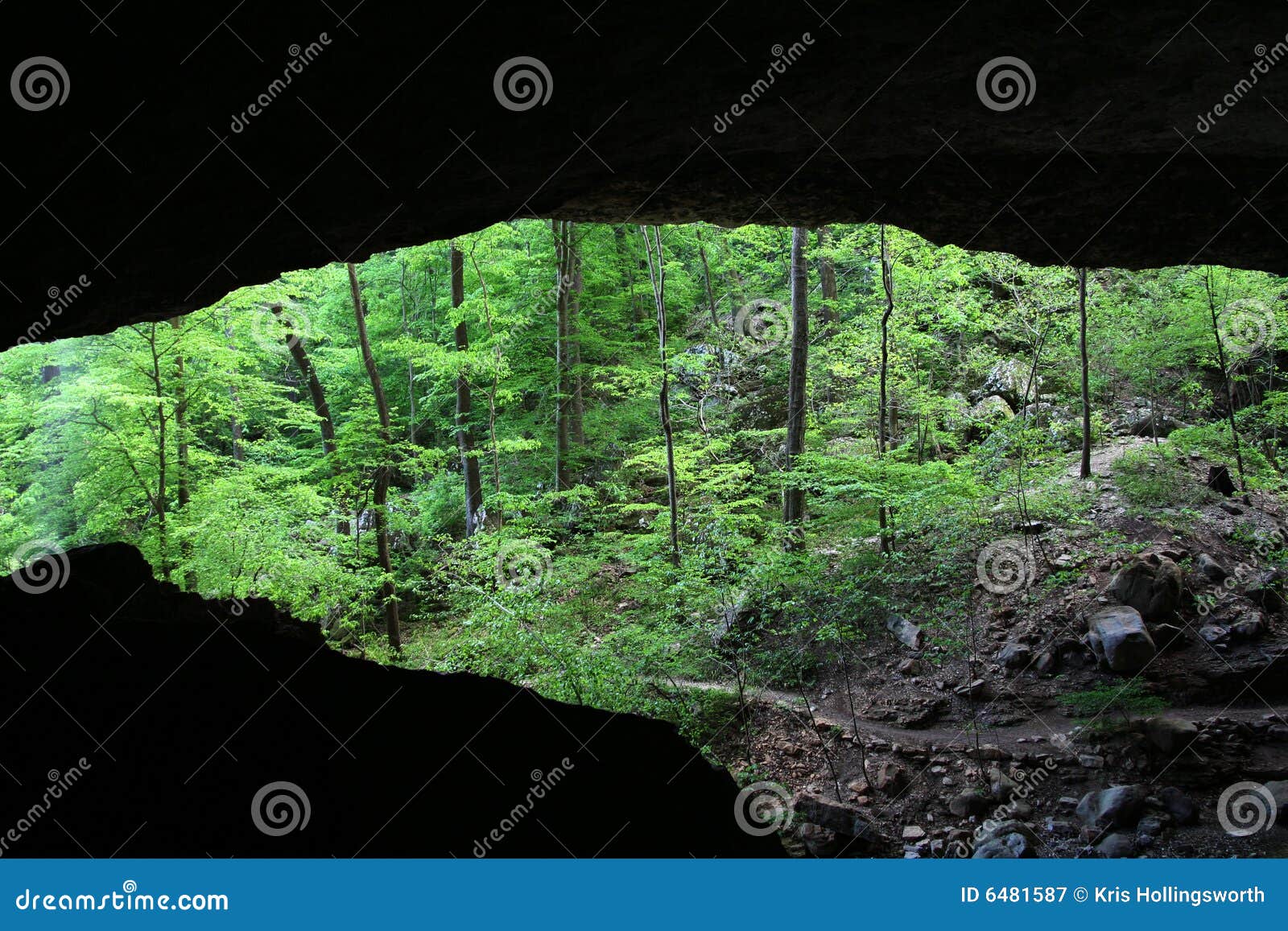 Forest Cave stock image. Image of beauty, hiking, opening - 6481587