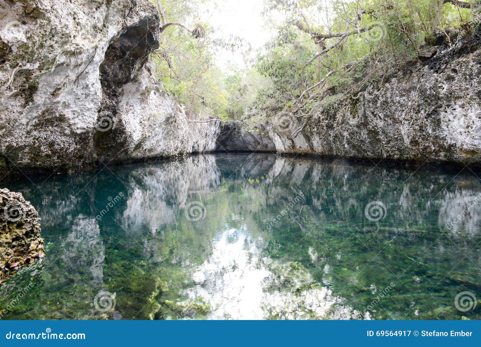 Forest with a Cenote at Giron Stock Image - Image of scenic, latin ...