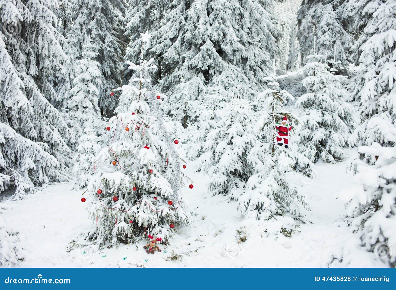 Forest Christmas Tree stock photo. Image of ornament - 47435828