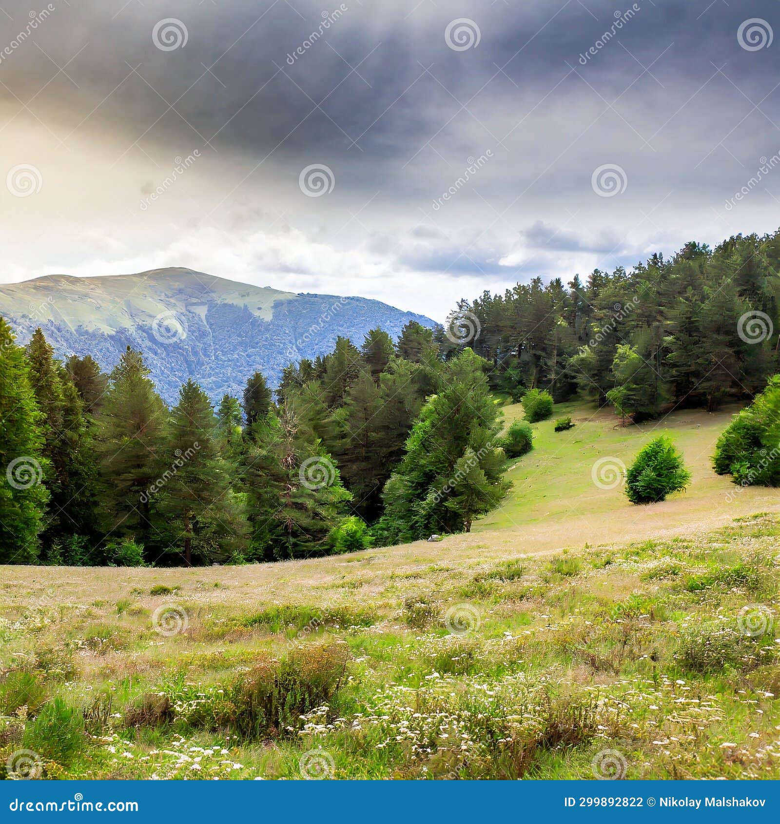 Forest Clearing in the Mountains. Stock Photo - Image of mountain ...