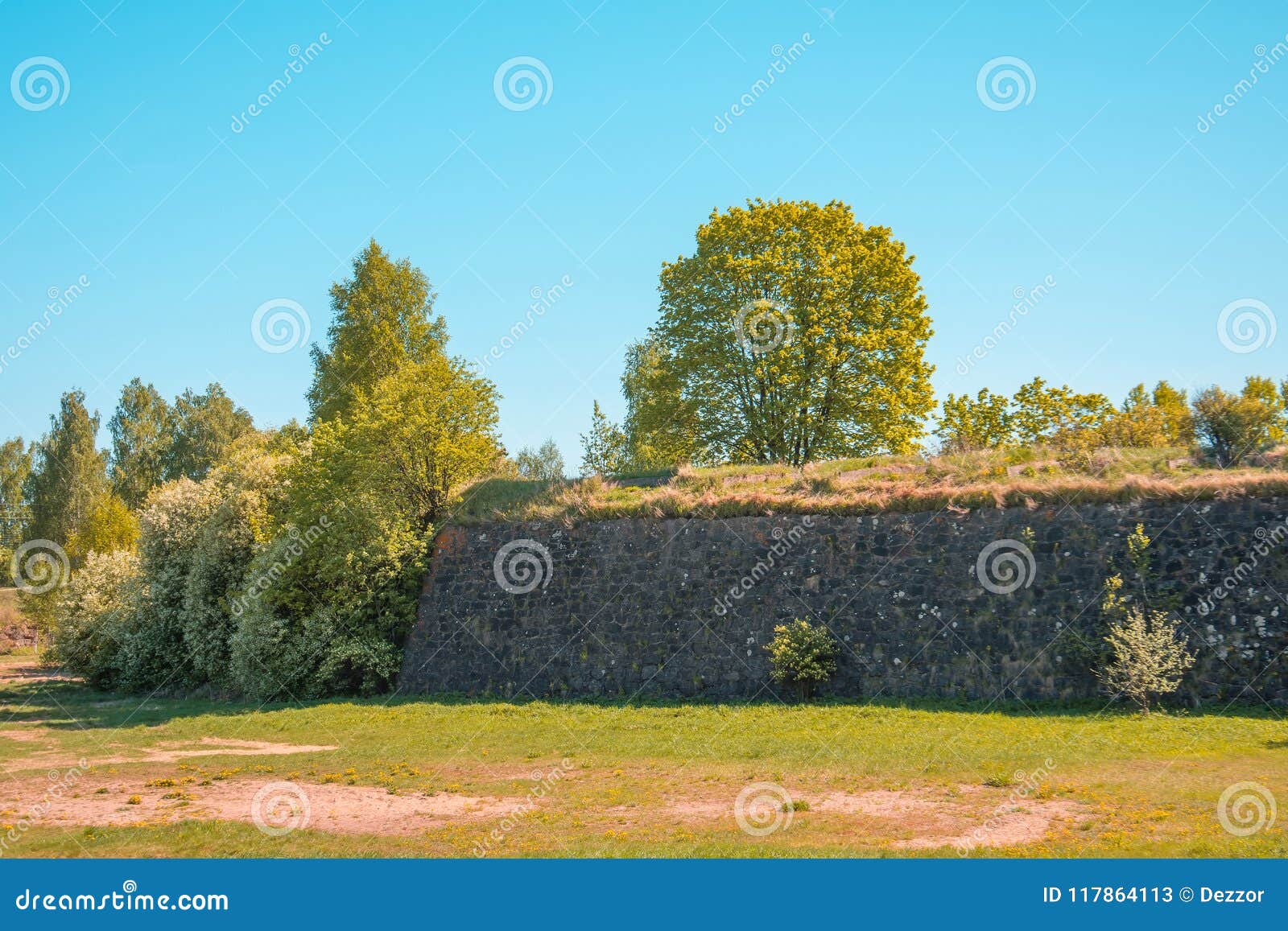 Forest and Cliff, Decorated with Smooth Stones of Rock with ...