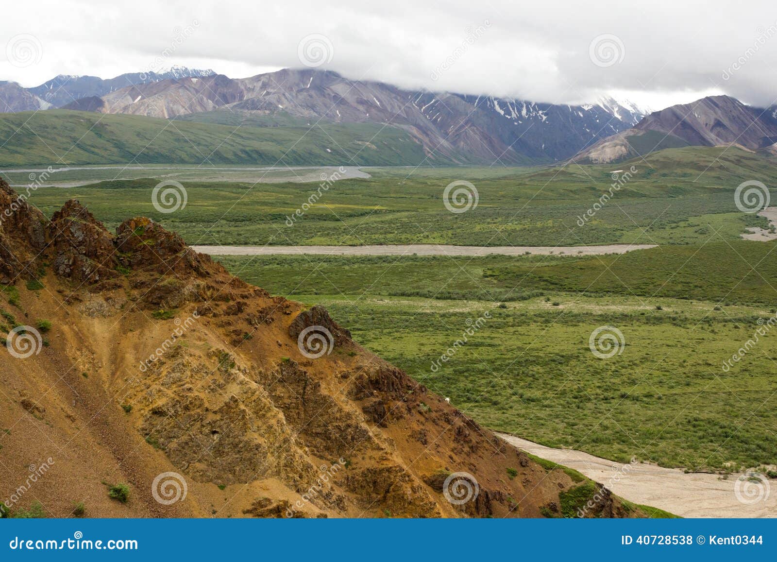 Forest and Cliff in Denali stock photo. Image of mountainsides - 40728538