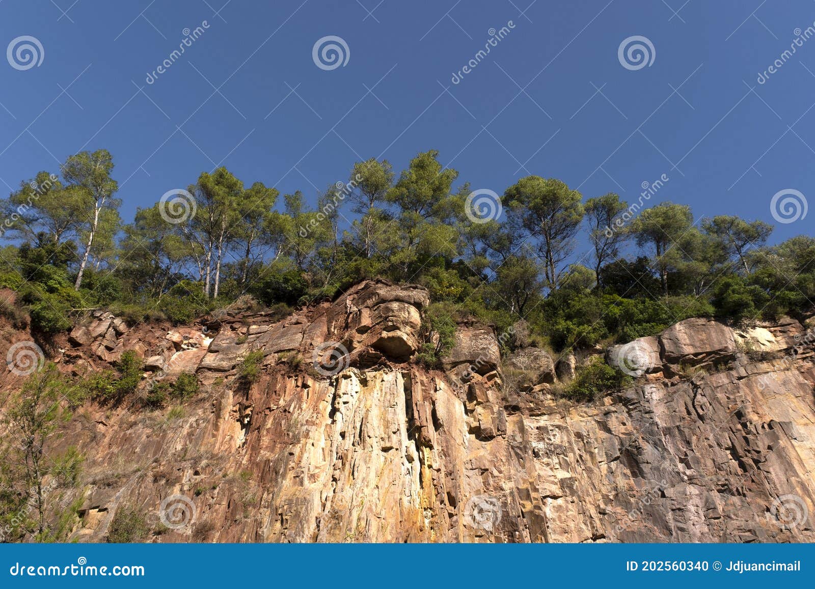Forest and Cliff Edge Against a Blue Sky. Nature Background with Empty ...