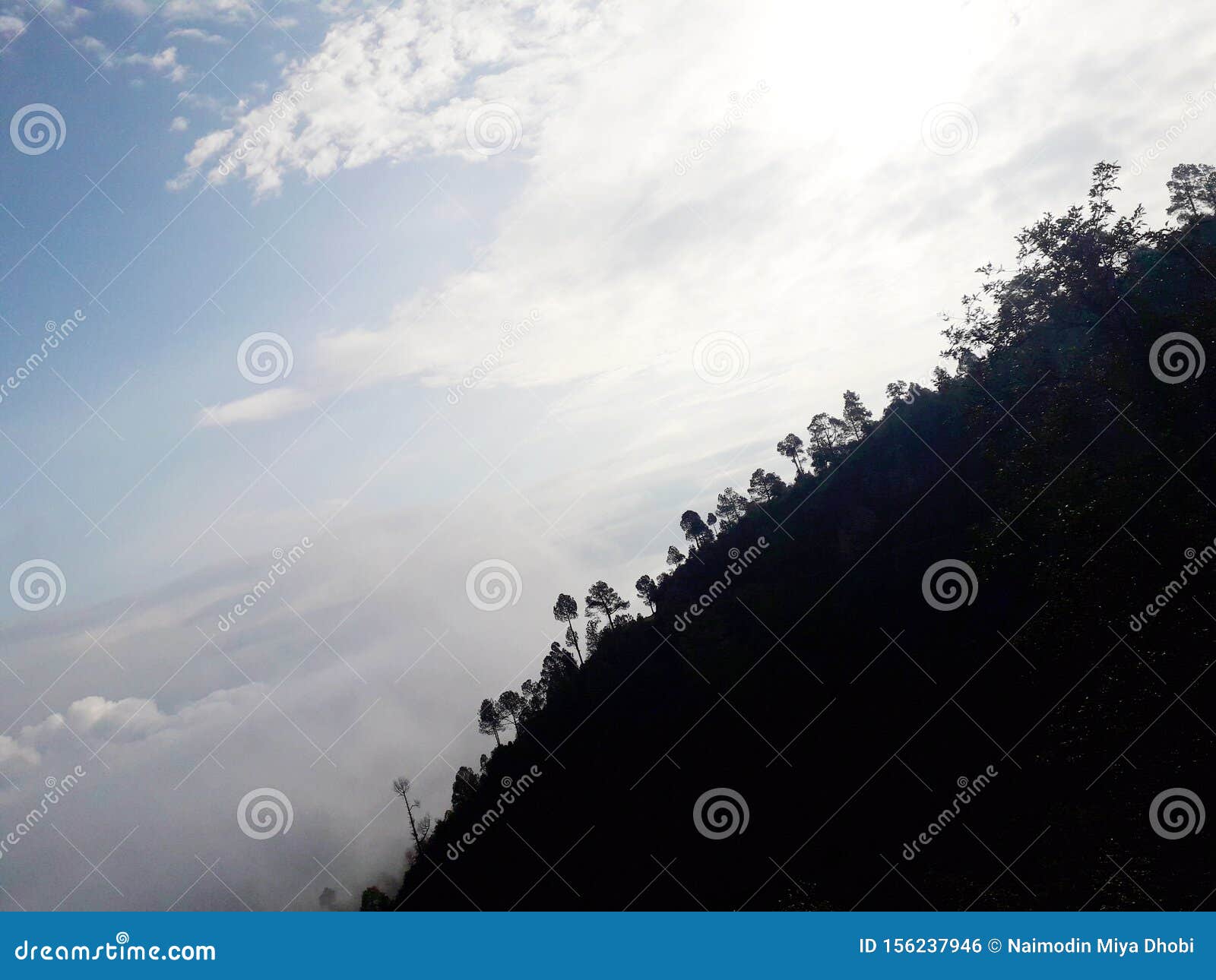 Forest cloud tree stock photo. Image of white, beauty - 156237946