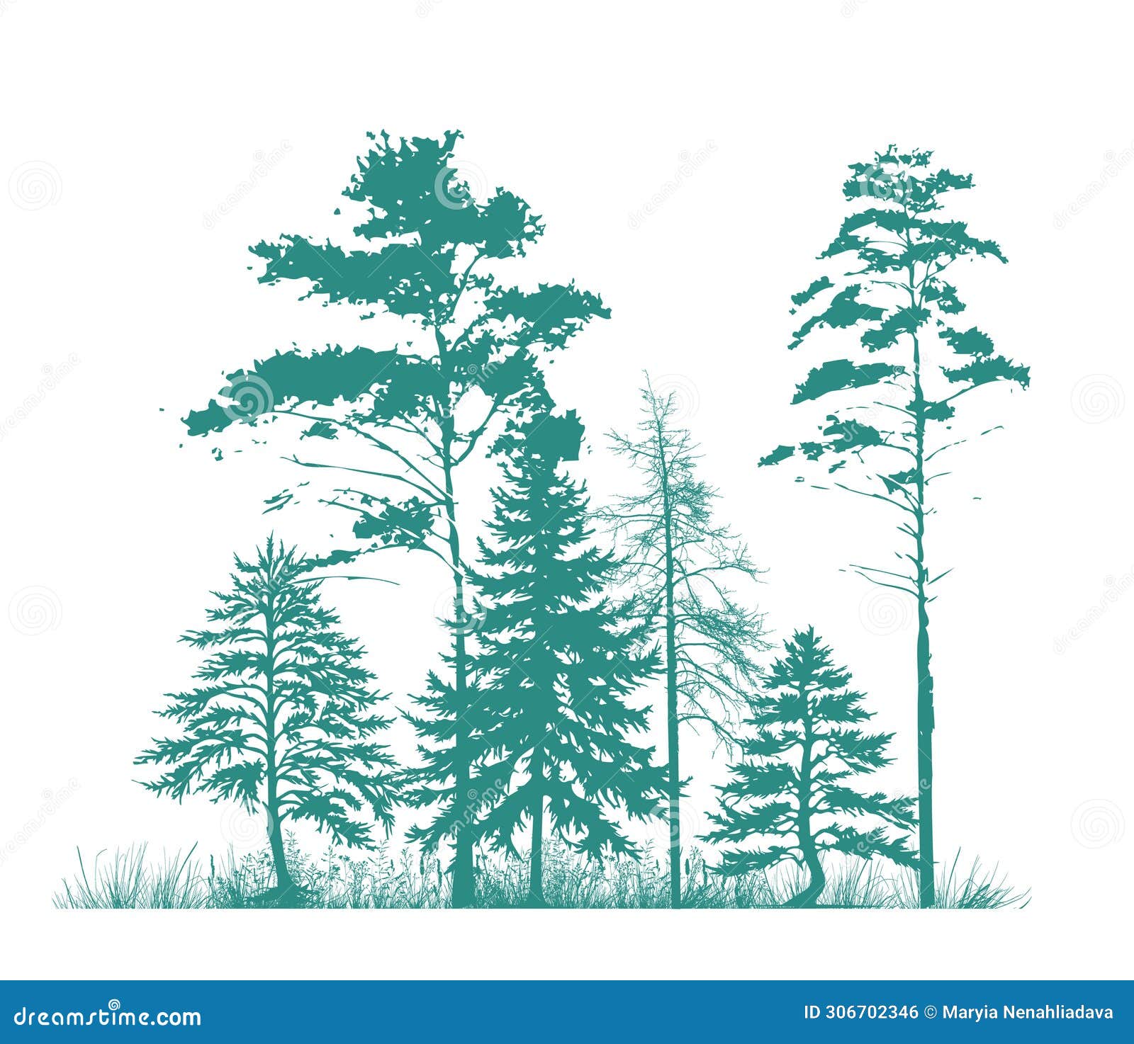 Forest of Coniferous Trees. Hand Drawing. Not AI. Vector Illustration ...
