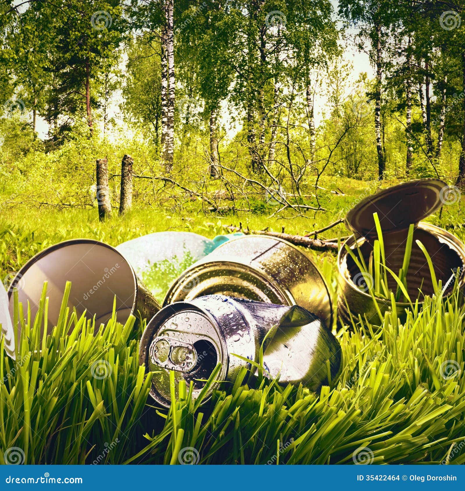 Forest Contaminated Waste and Garbage Stock Photo - Image of garbage ...