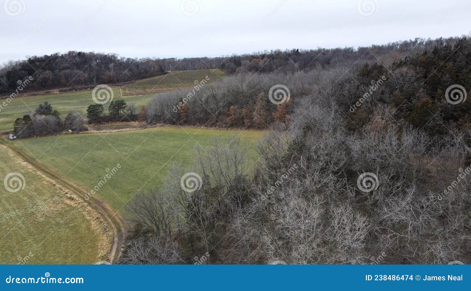 The Forest Covers the Hills with Fields Below with Small Vineyard in ...
