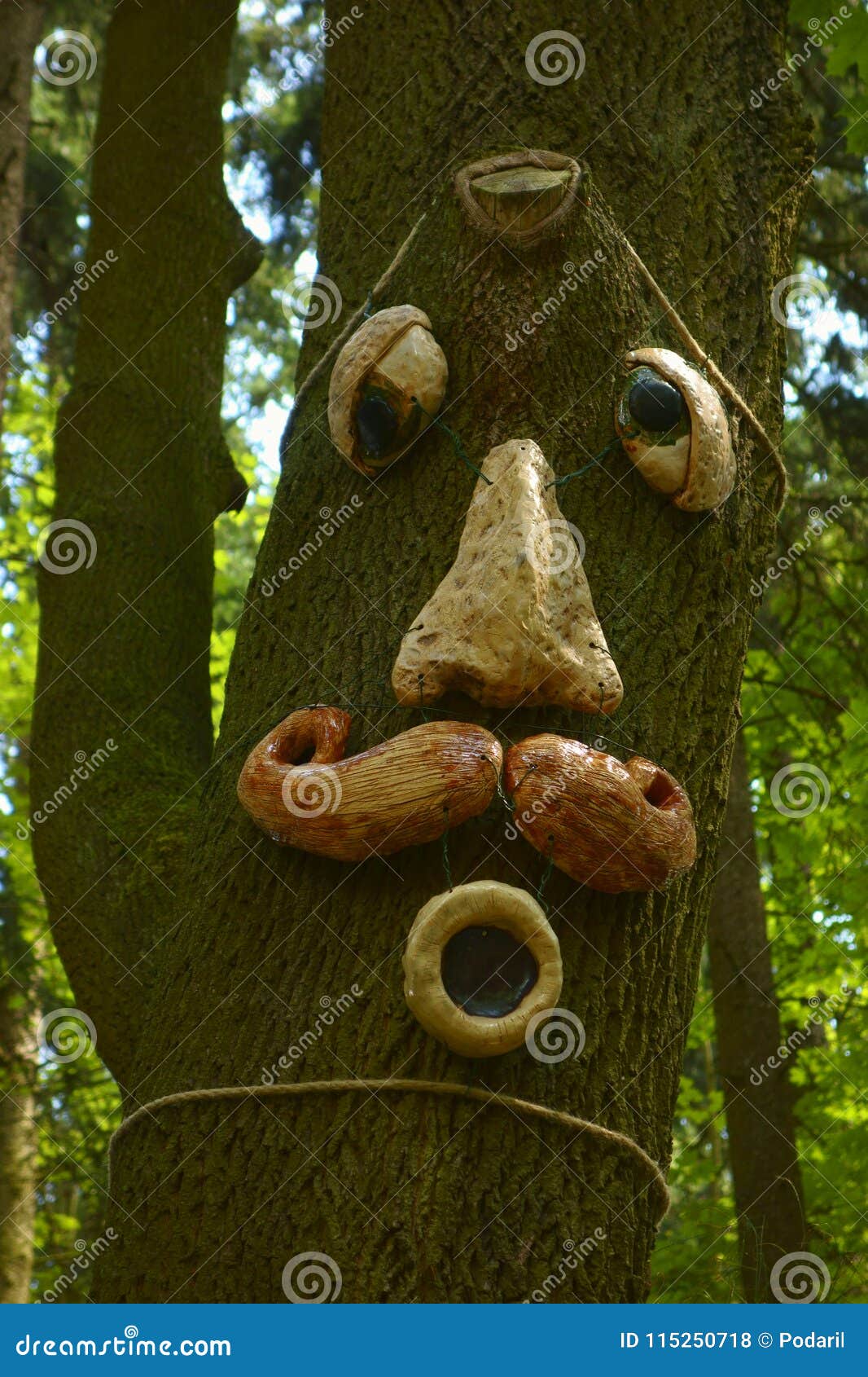 Forest creature stock photo. Image of natural, czech - 115250718
