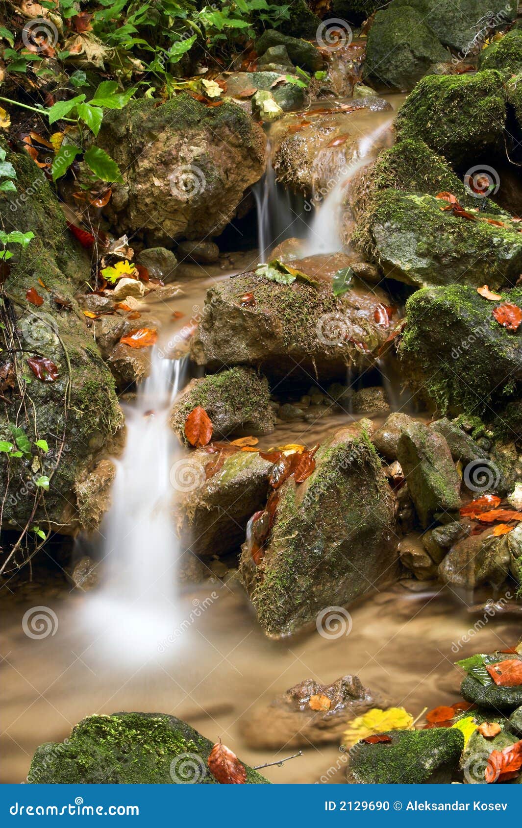 Forest creek stock photo. Image of creek, stream, motion - 2129690