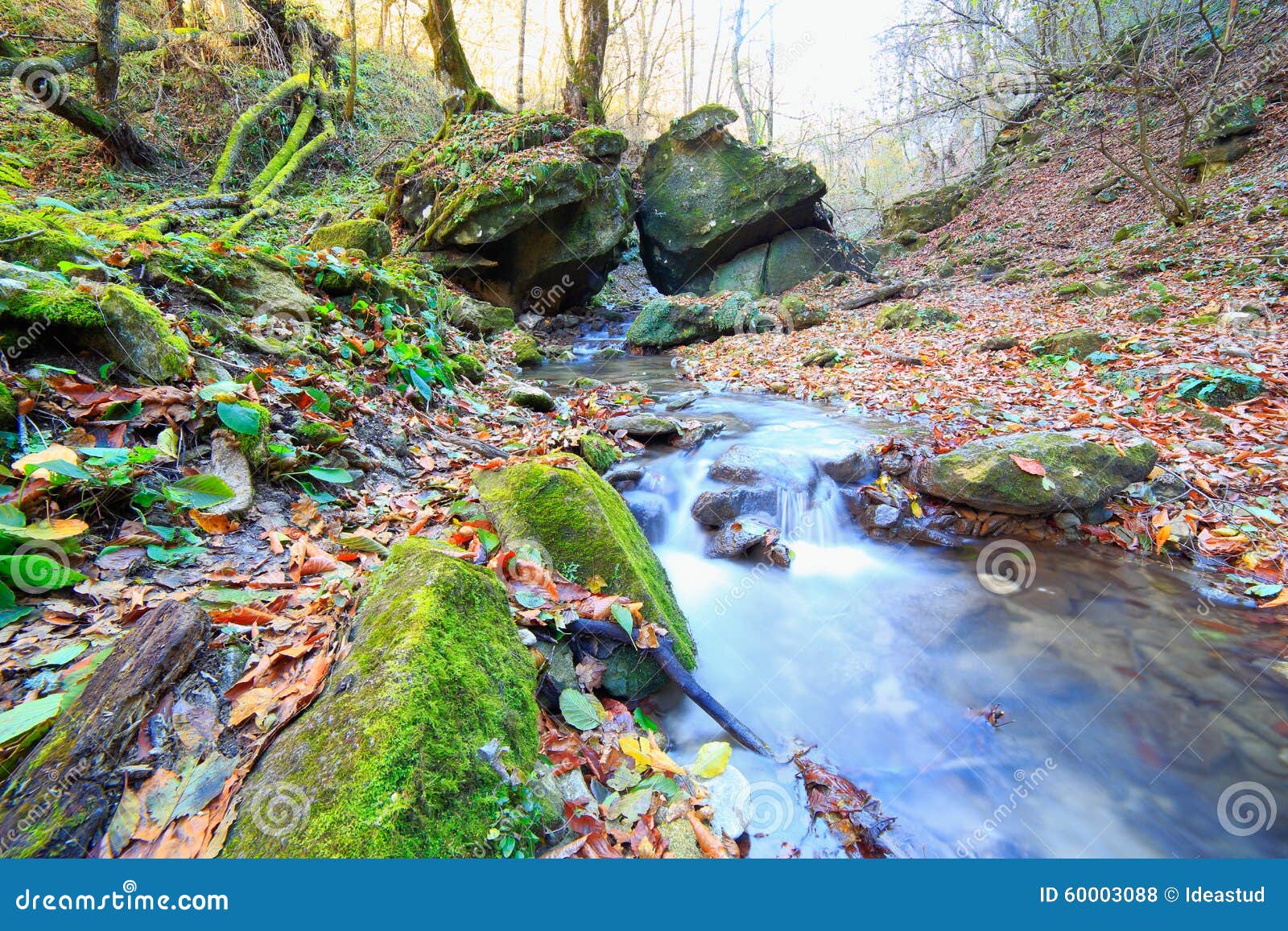 Forest Creek Autumn Water Mountain River Landscape Stock Photo - Image ...