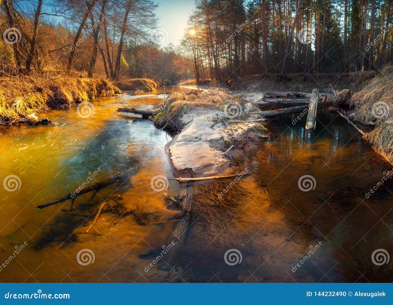 Forest Creek. Spring in Forest Stock Photo - Image of woods, bottom ...