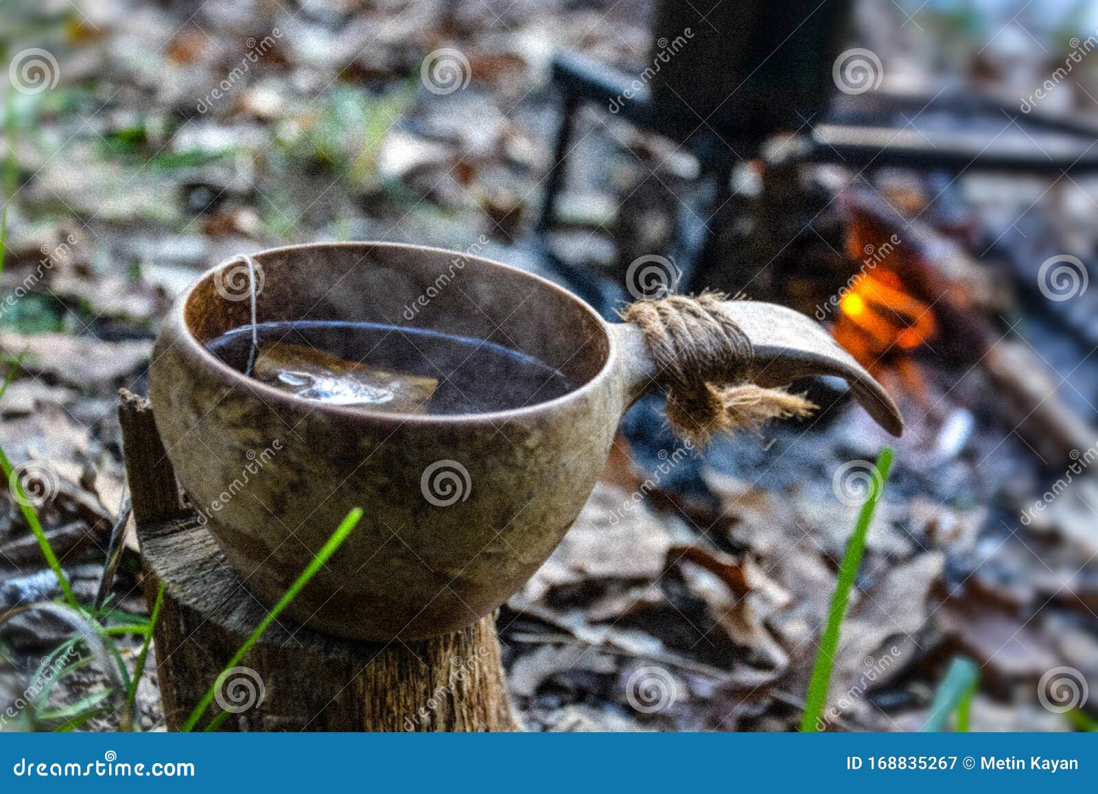 Forest Cup Coffee Tea Outdoor Stock Image - Image of outdoor, nature ...