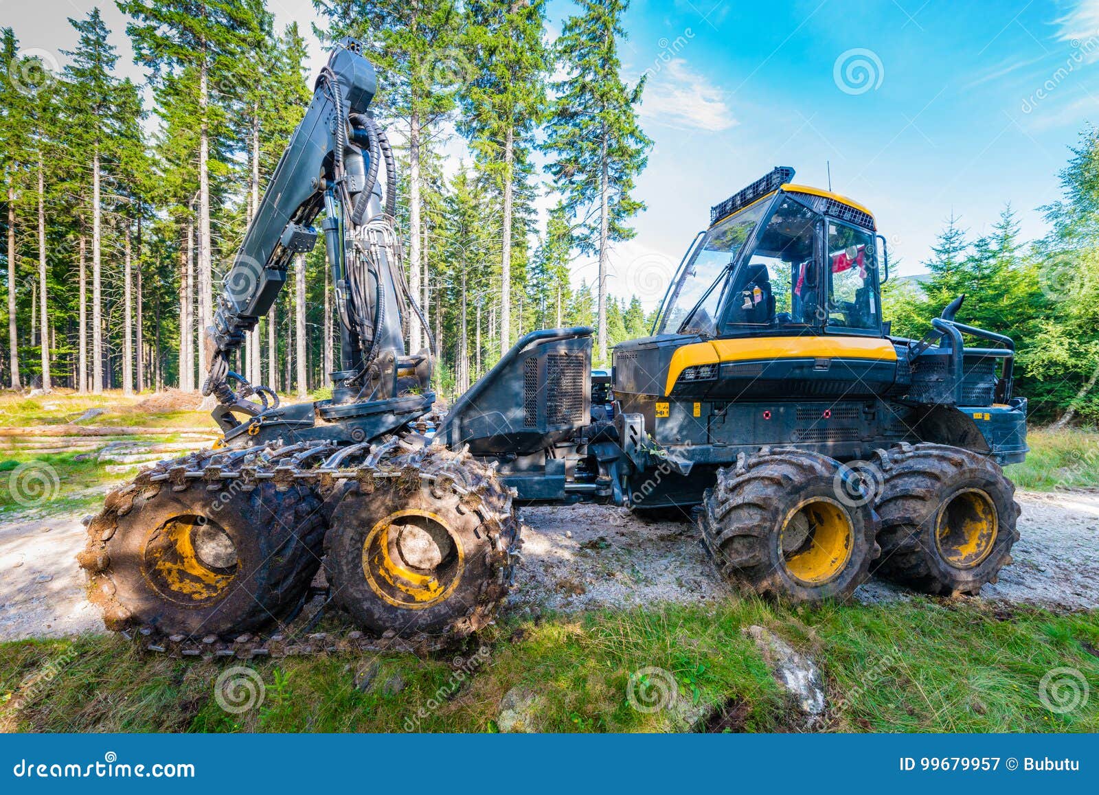 Forest Cutting. Timber Harvester Stock Image - Image of industry ...