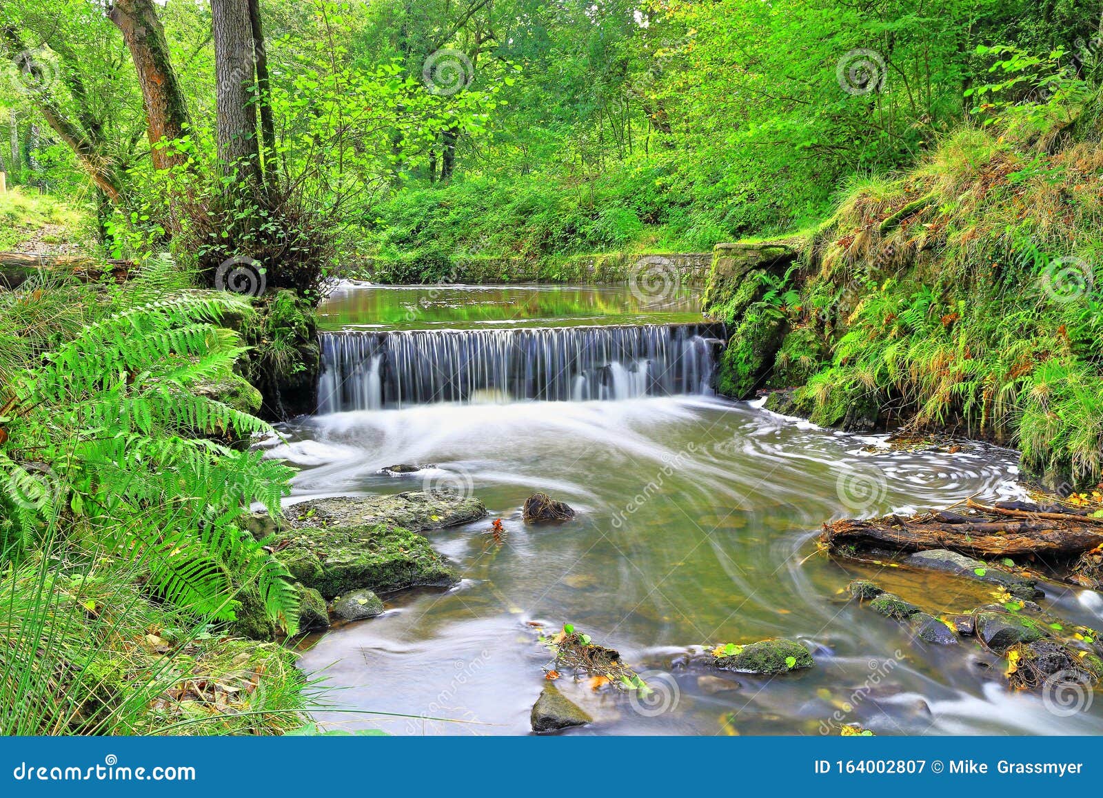 Forest of Dean Waterfall stock image. Image of white - 164002807
