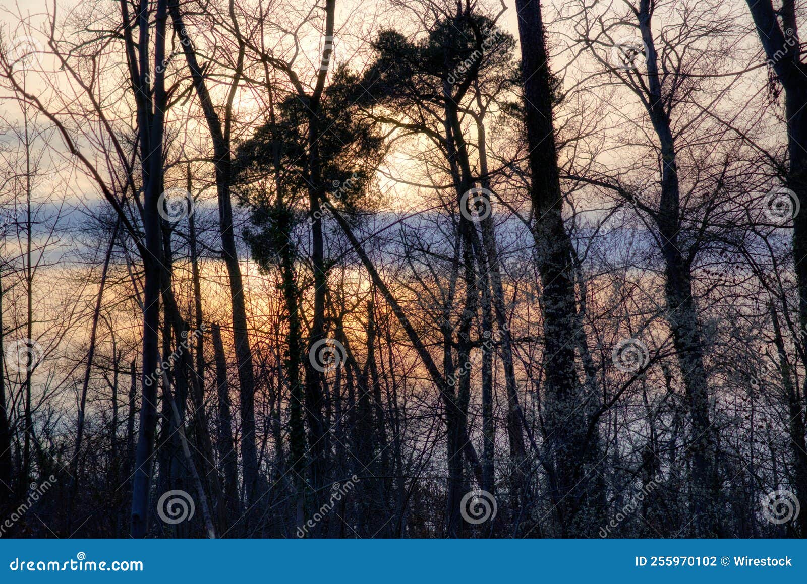 Dear Darmstadt Stock Photos - Free & Royalty-Free Stock Photos from Dreamstime