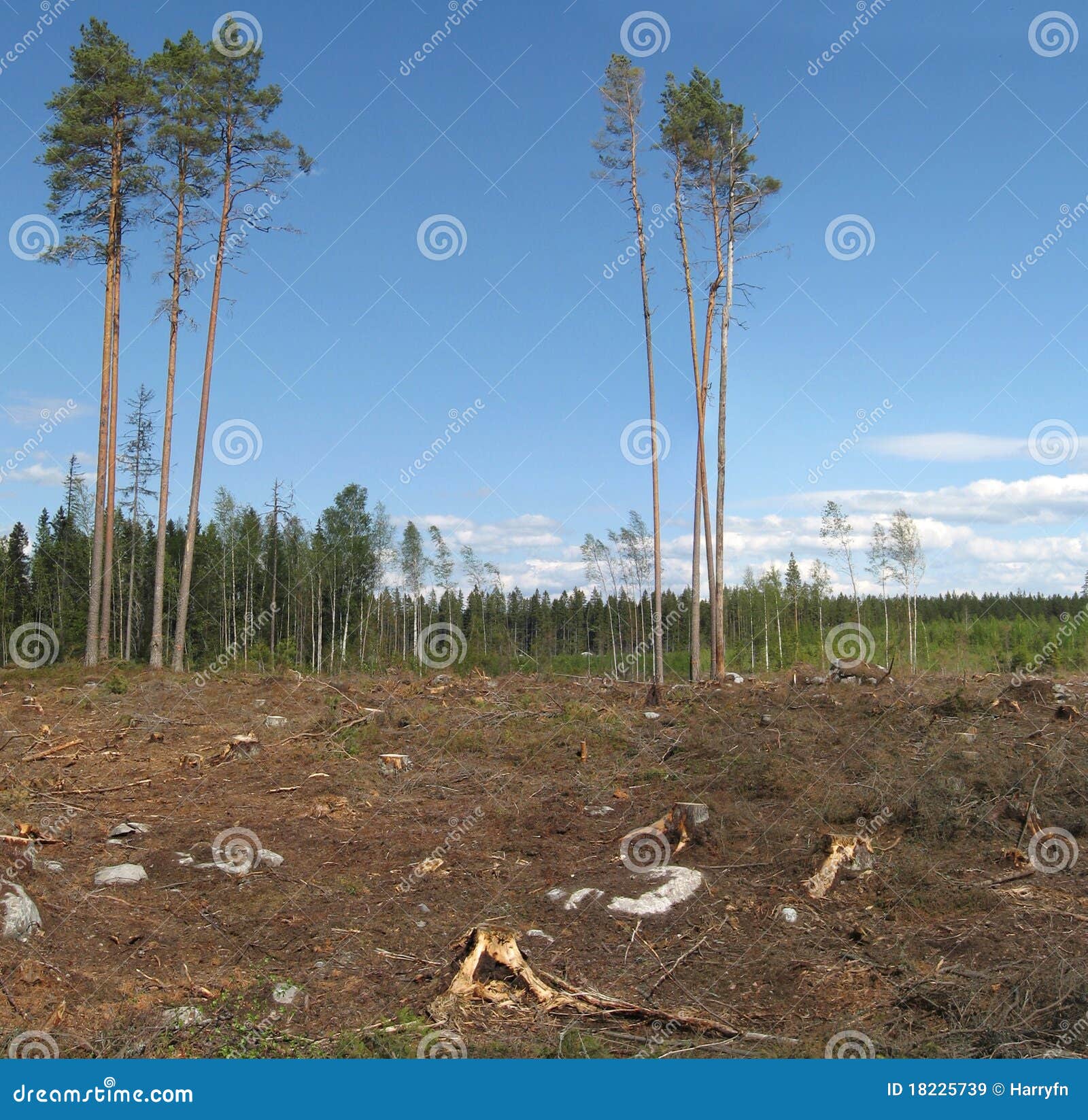 Forest destroyed stock image. Image of forest, environment - 18225739