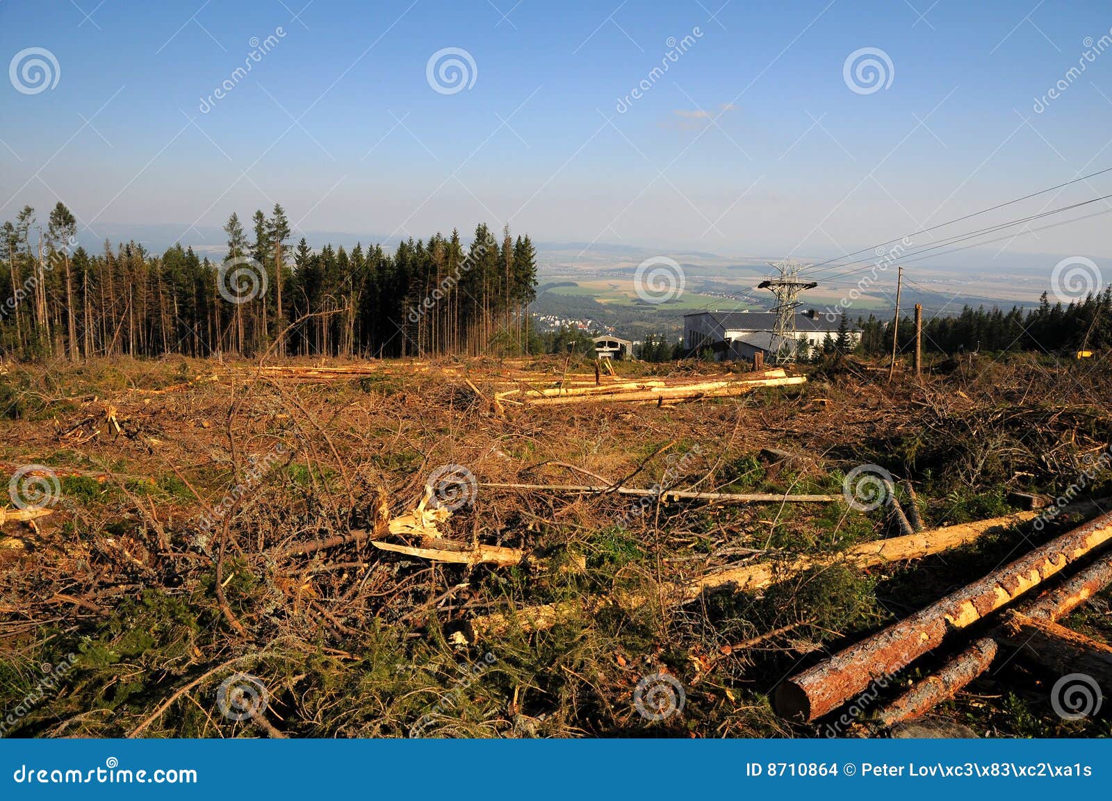 Forest destruction stock photo. Image of destruction, blue - 8710864
