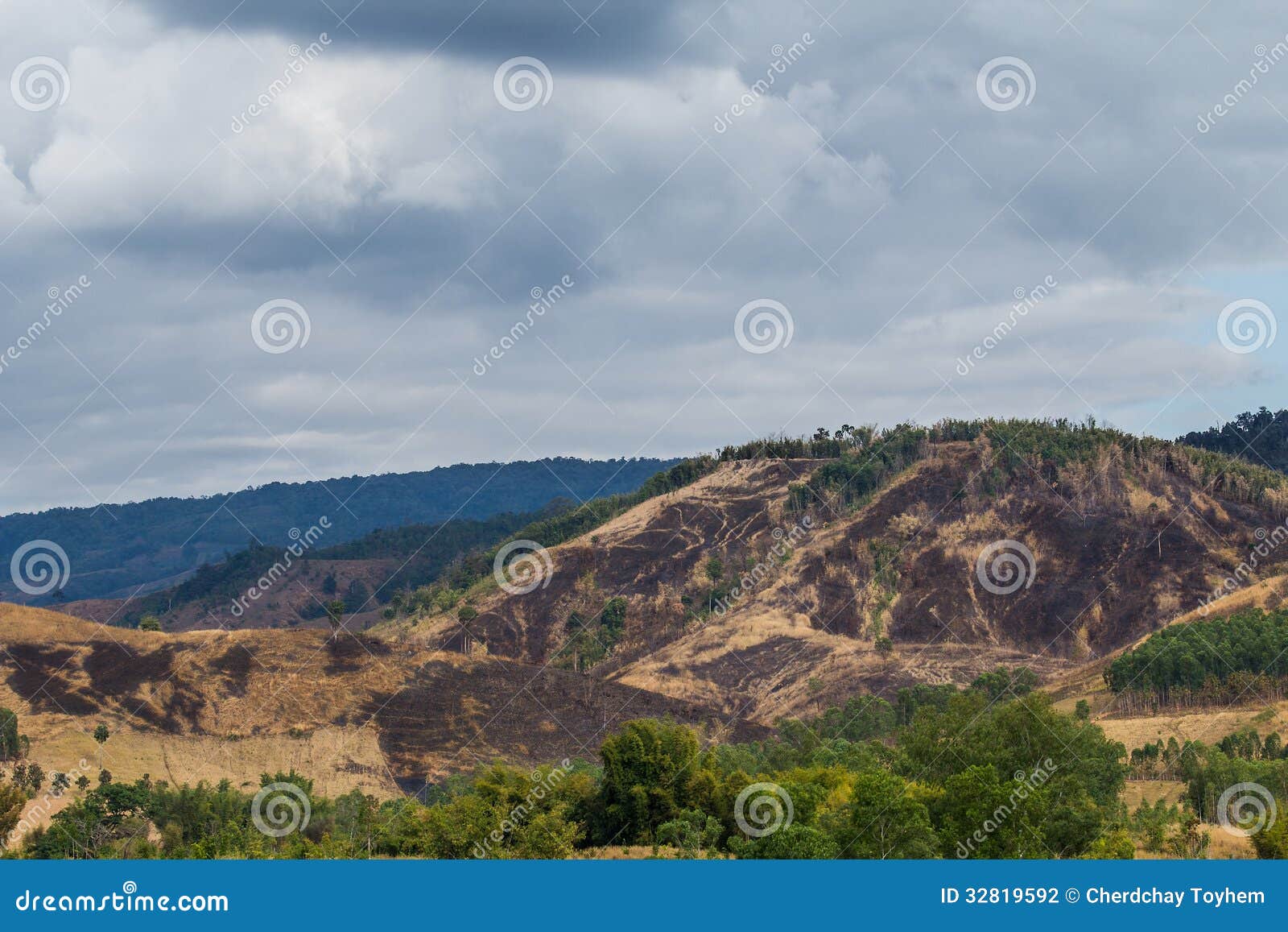 Forest Destruction on the Mountain Stock Photo - Image of environment ...