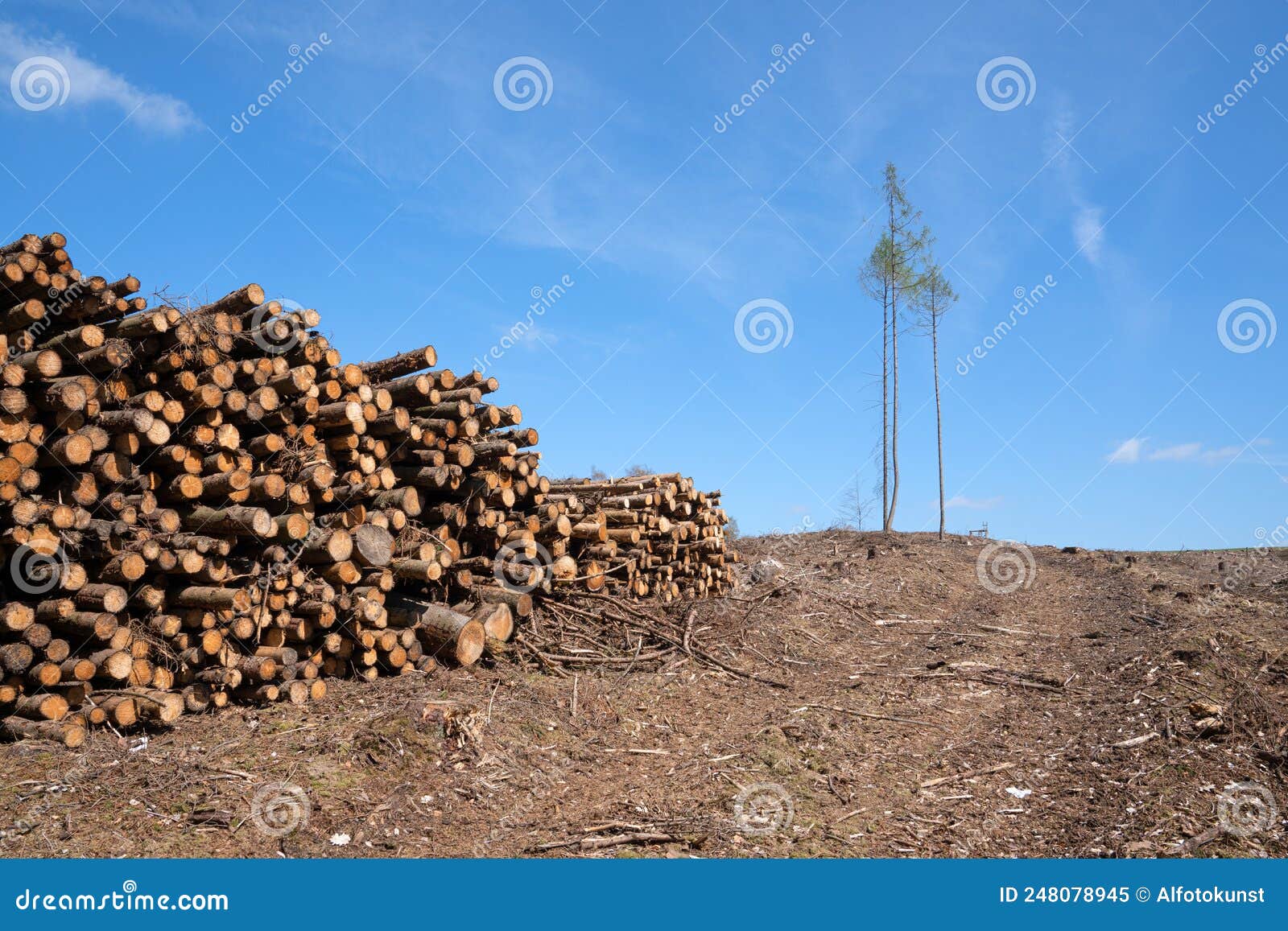 Forest Dieback, Cleared Forest in Germany Stock Image - Image of global ...