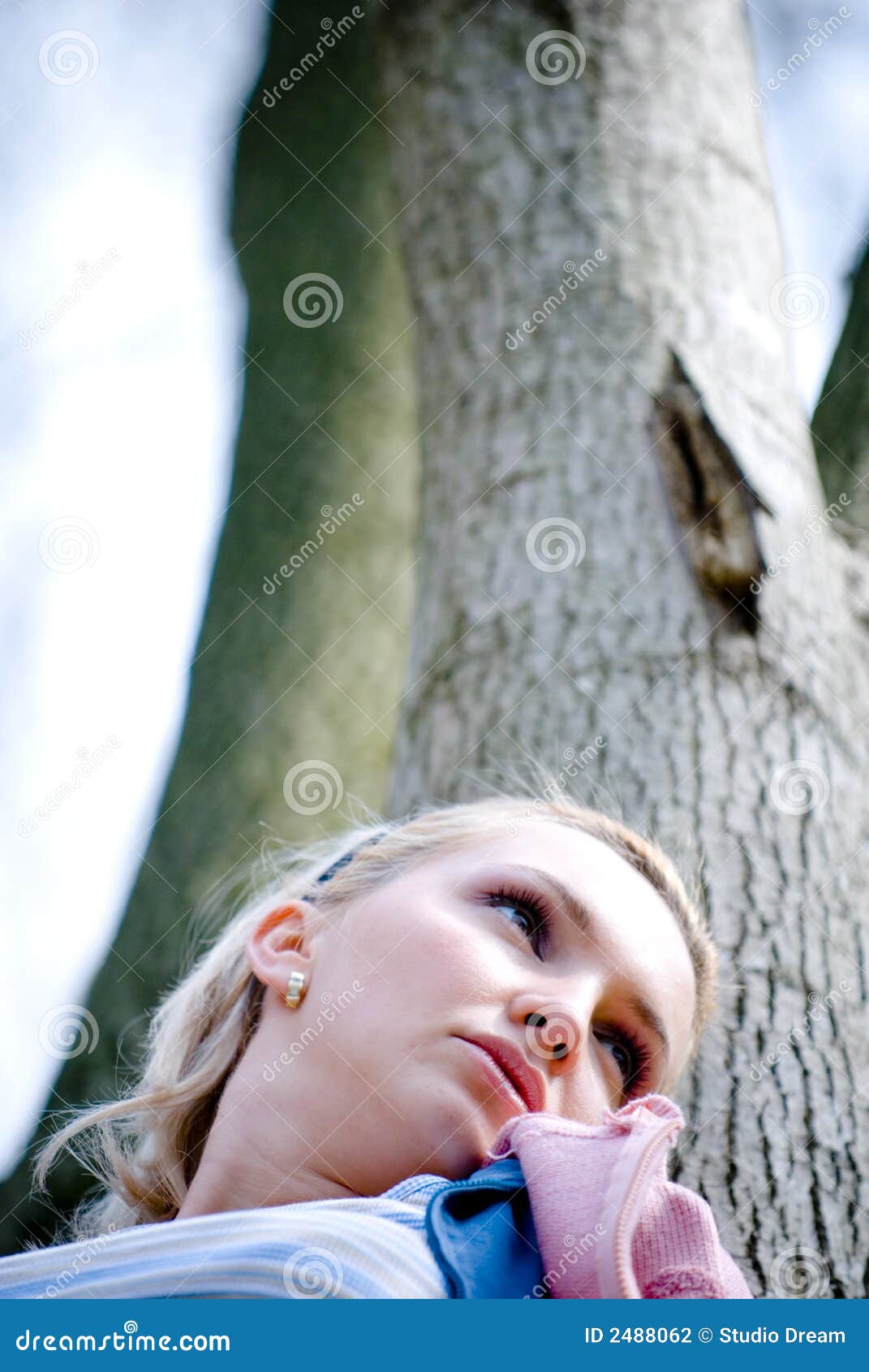 Forest Dream stock photo. Image of dreamy, daydream, distracted - 2488062