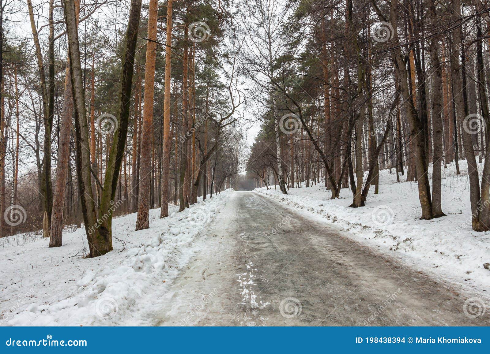 Forest in Early Spring. March. the Road in the Forest Stock Photo ...