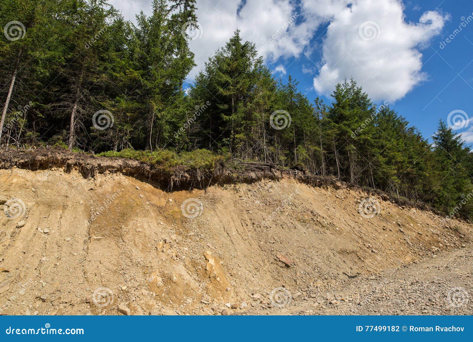 Forest on the Edge of Collapse Stock Photo - Image of disaster, forest ...