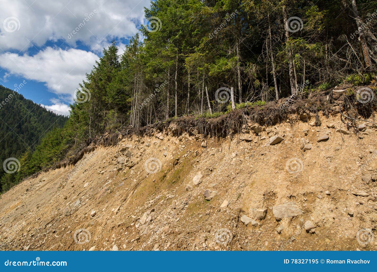 Forest on the Edge of Collapse Stock Image - Image of clouds, nature ...