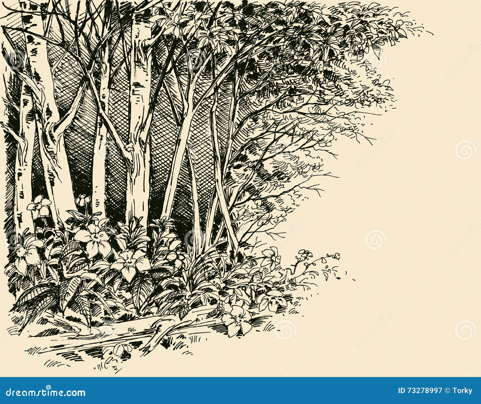 Tree Forest Edge Stock Illustrations – 2,190 Tree Forest Edge Stock ...