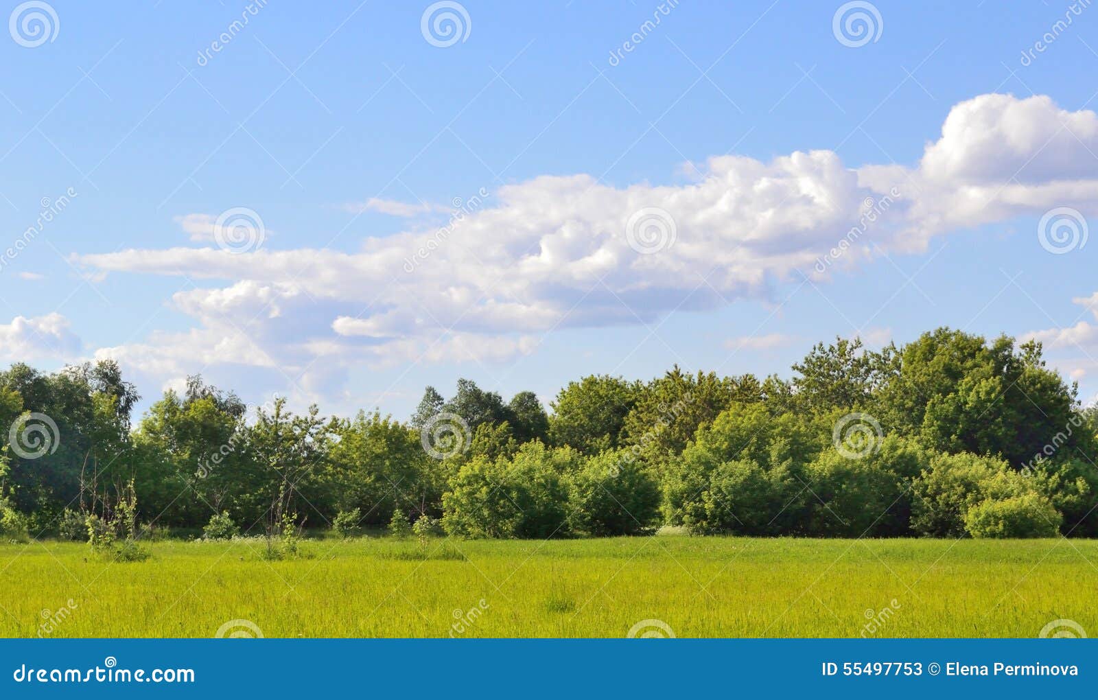 Forest edge, landscape stock image. Image of edge, harmony - 55497753