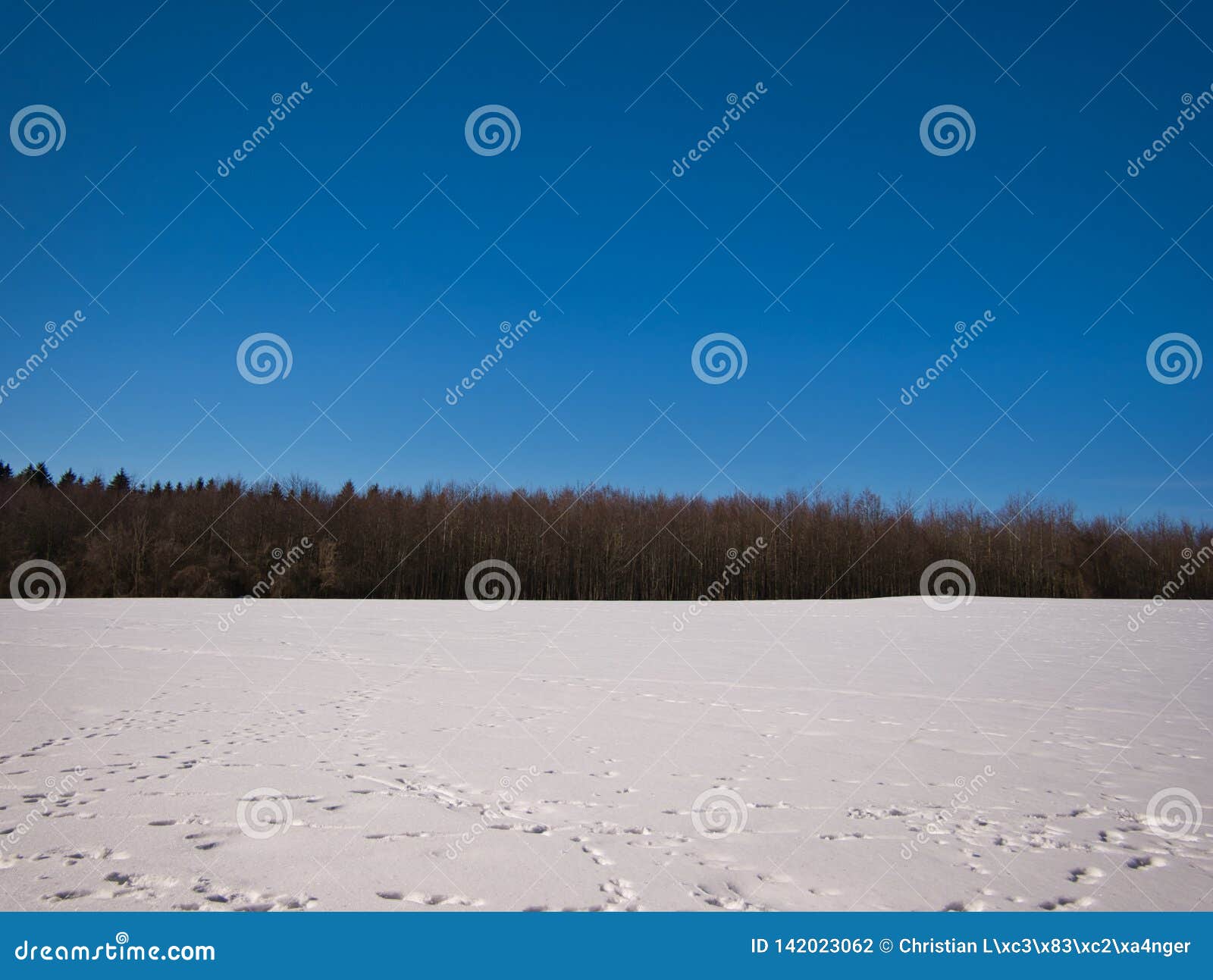 Forest Edge and a Snow-covered Meadow Stock Photo - Image of walkway ...