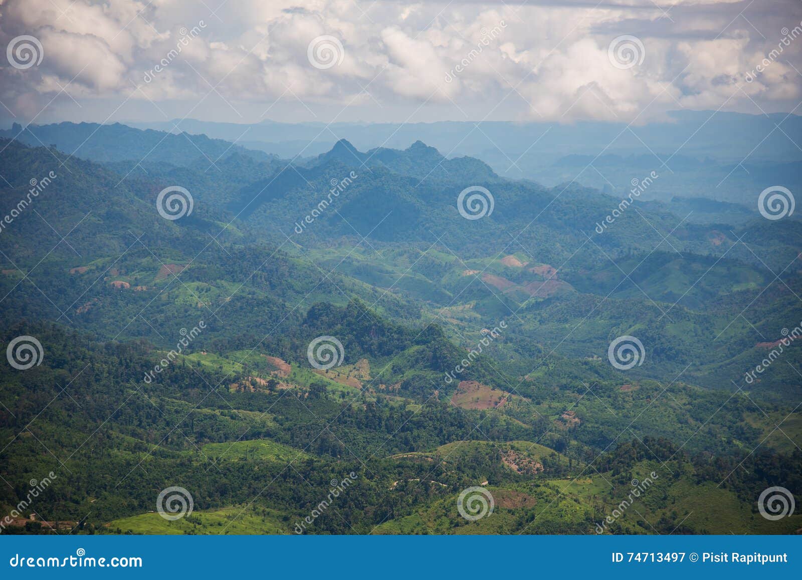 Forest Encroachment To Plant Corn Tak ,Thailand. Stock Image - Image of ...