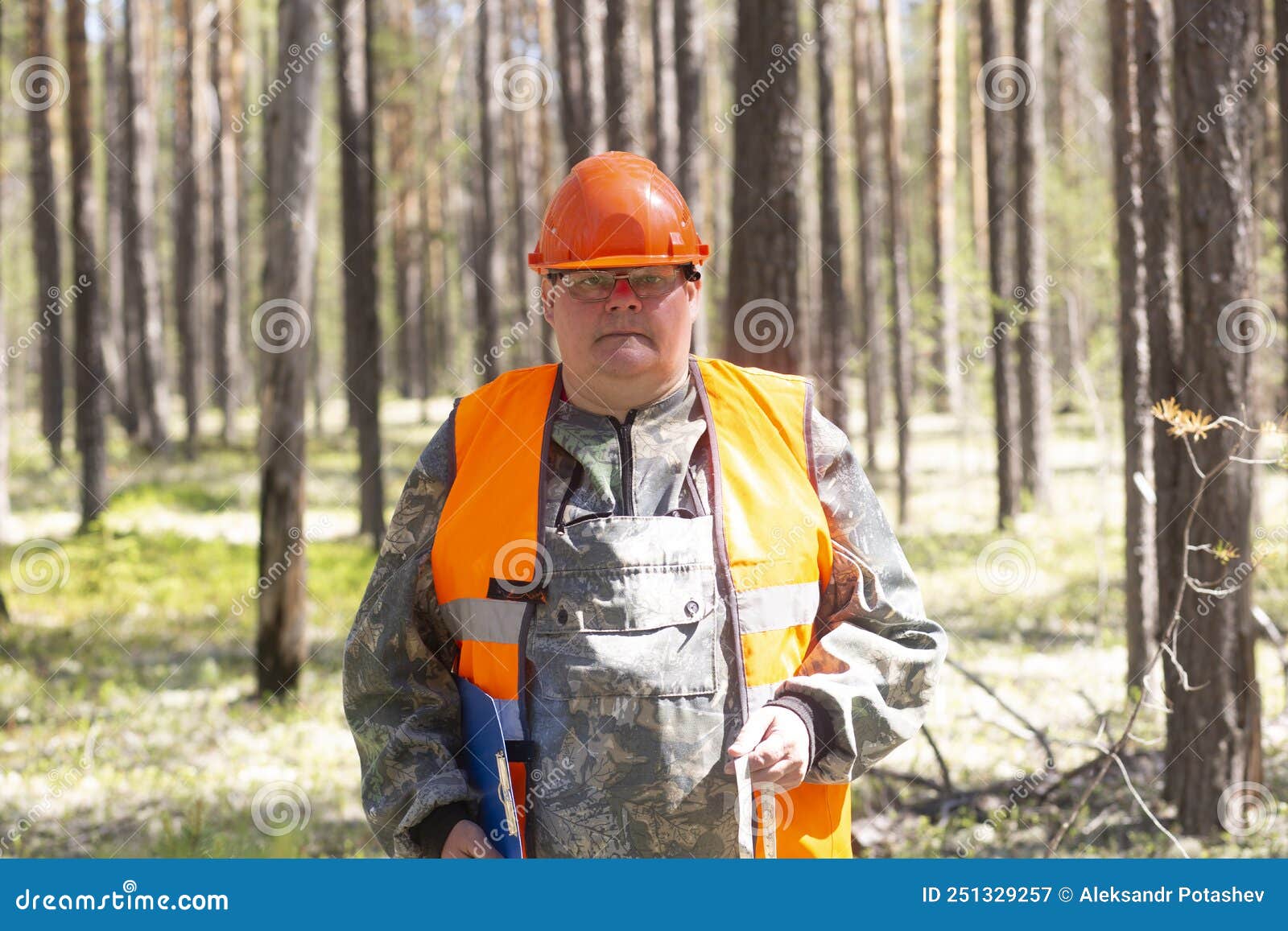A Forest Engineer Conducts a Survey of the Forest for Logging Stock ...