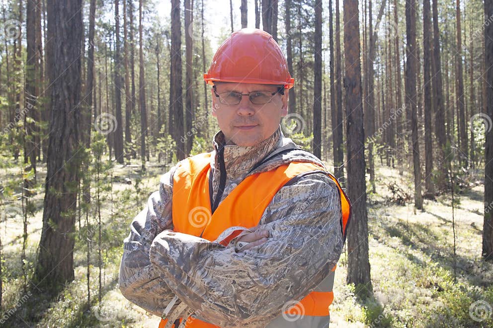 A Forest Engineer Conducts Tree Research in the Forest Stock Image ...