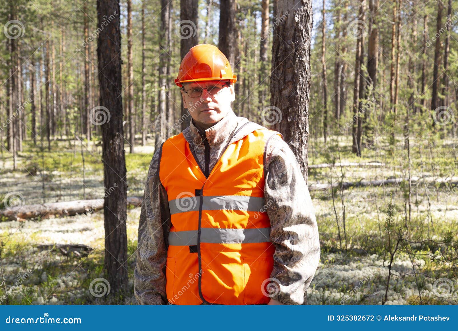 A Forest Engineer Conducts Tree Research in the Forest Stock Photo ...