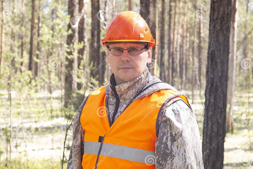 A Forest Engineer Conducts Tree Research in the Forest Stock Image ...