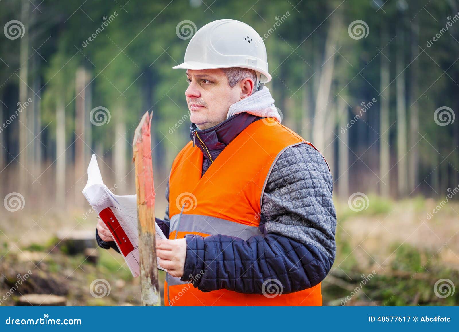 Forest Engineer with Documents in the Forest Stock Image - Image of ...