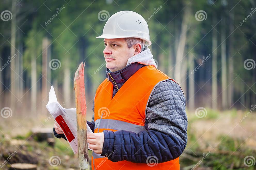 Forest Engineer with Documents in the Forest Stock Image - Image of ...