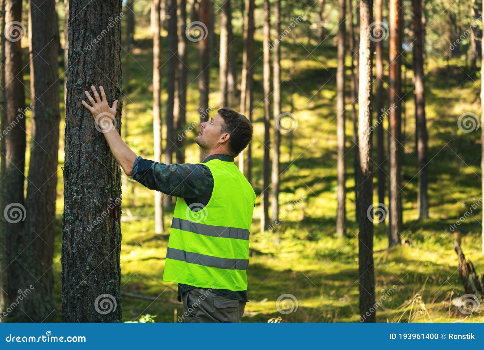 Forest Engineering and Management, Renewable Resources - Forester ...