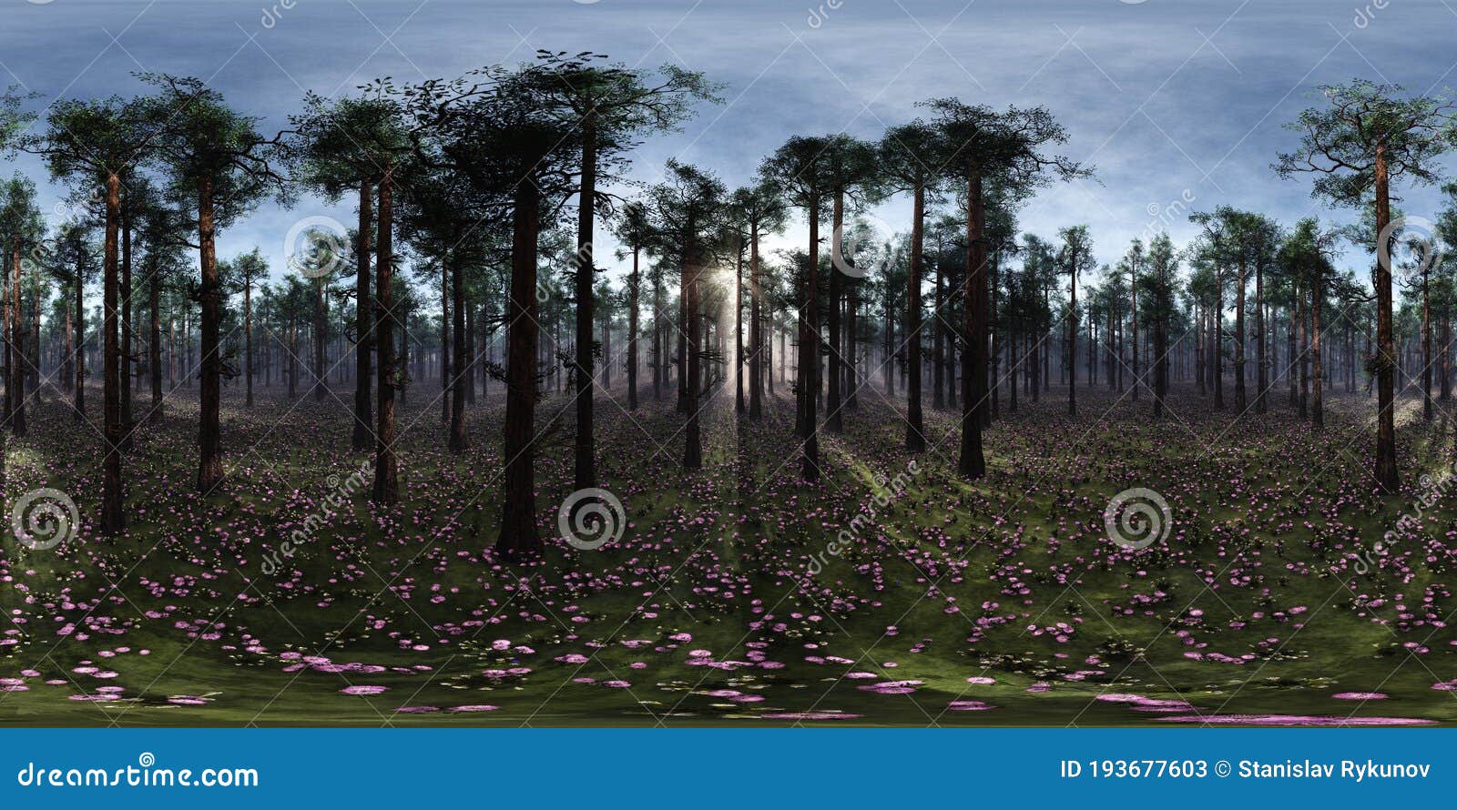 Forest , Environment Map , Round Panorama Stock Illustration ...