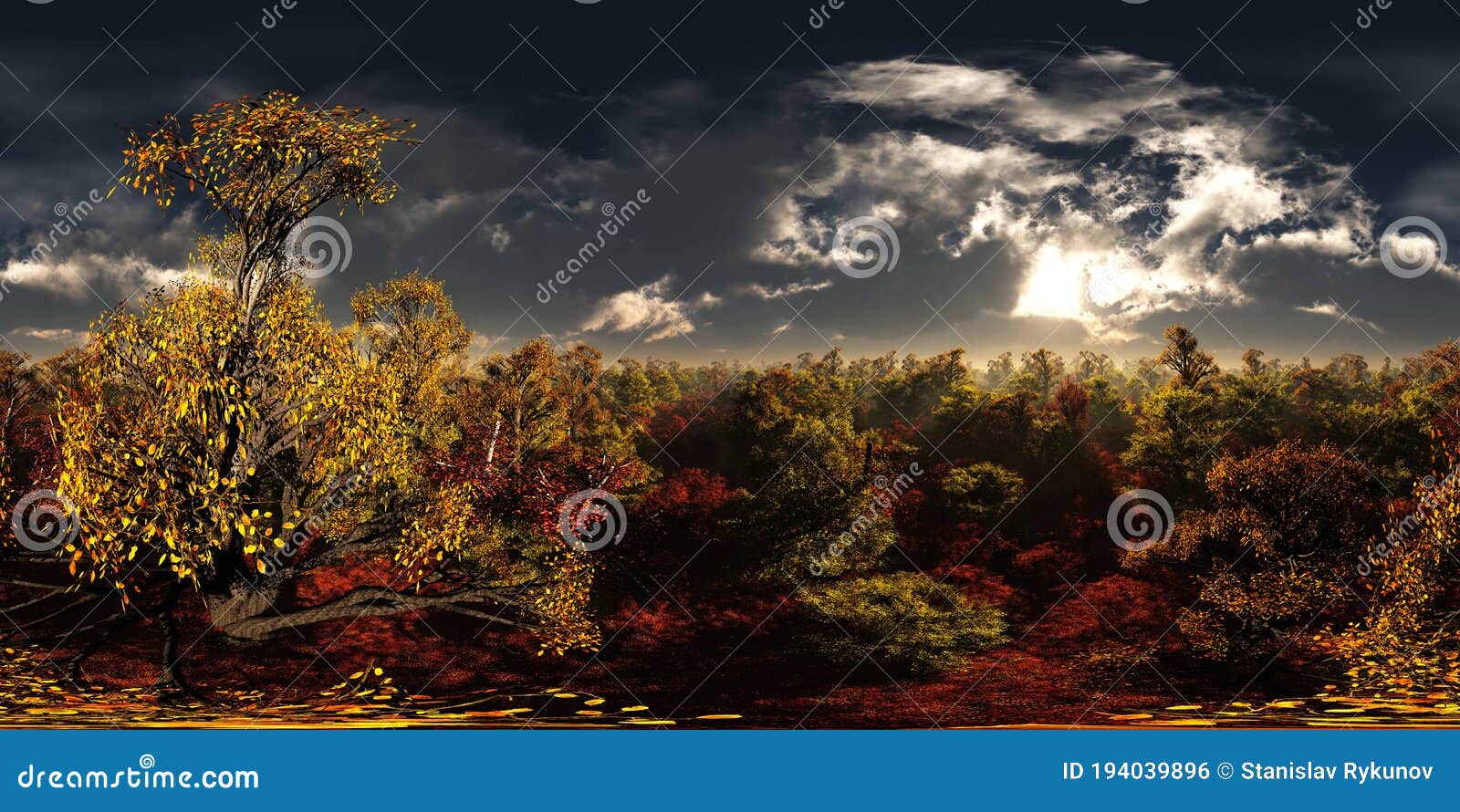 Forest , Environment Map , Round Panorama Stock Illustration ...