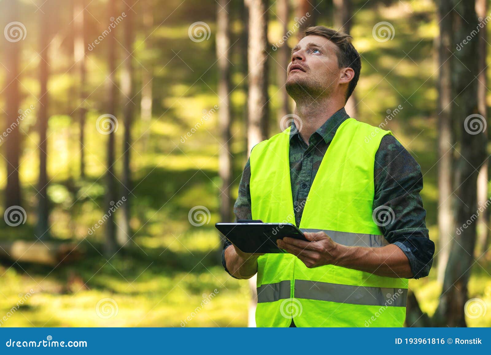Forest Evaluation and Management - Forestry Engineer Working with ...