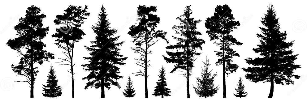 Forest Evergreen Trees Silhouette Isolated Set Stock Vector ...