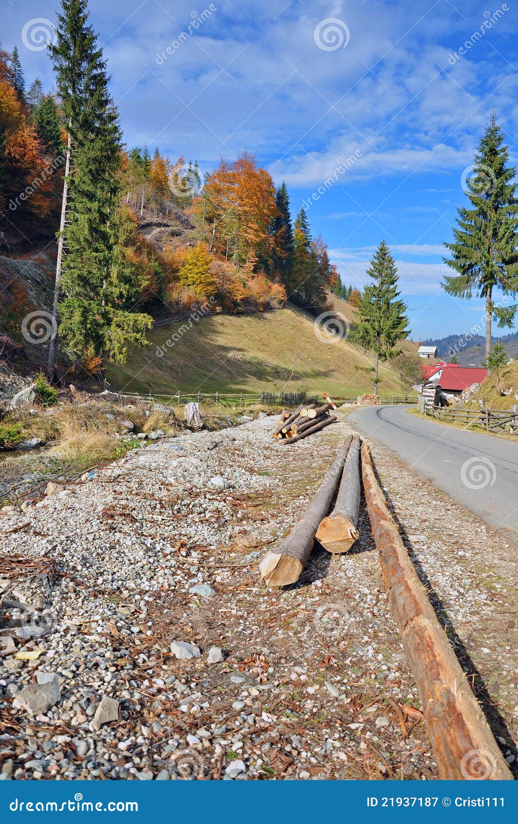 Forest exploitation stock image. Image of branch, transportation - 21937187