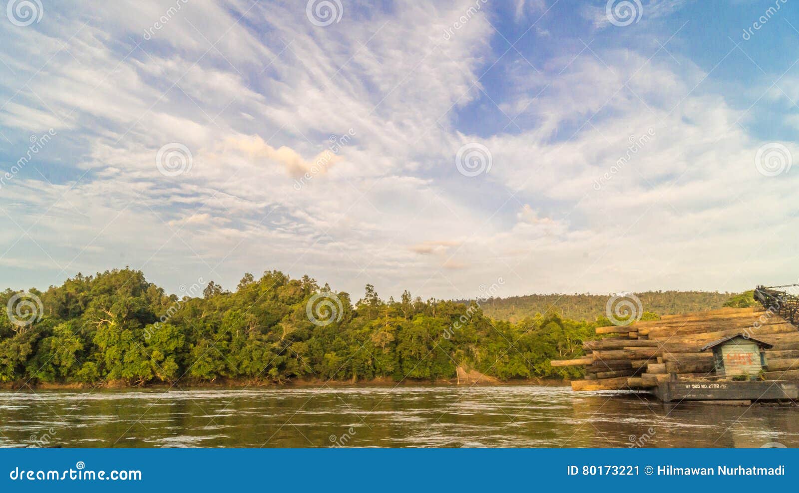 Timber Loaded into the Raft in the River Stock Image - Image of nature ...