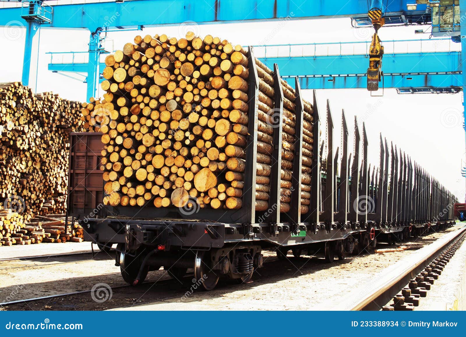 Forest Export. Transportation of Timber by Rail Cars Stock Photo ...